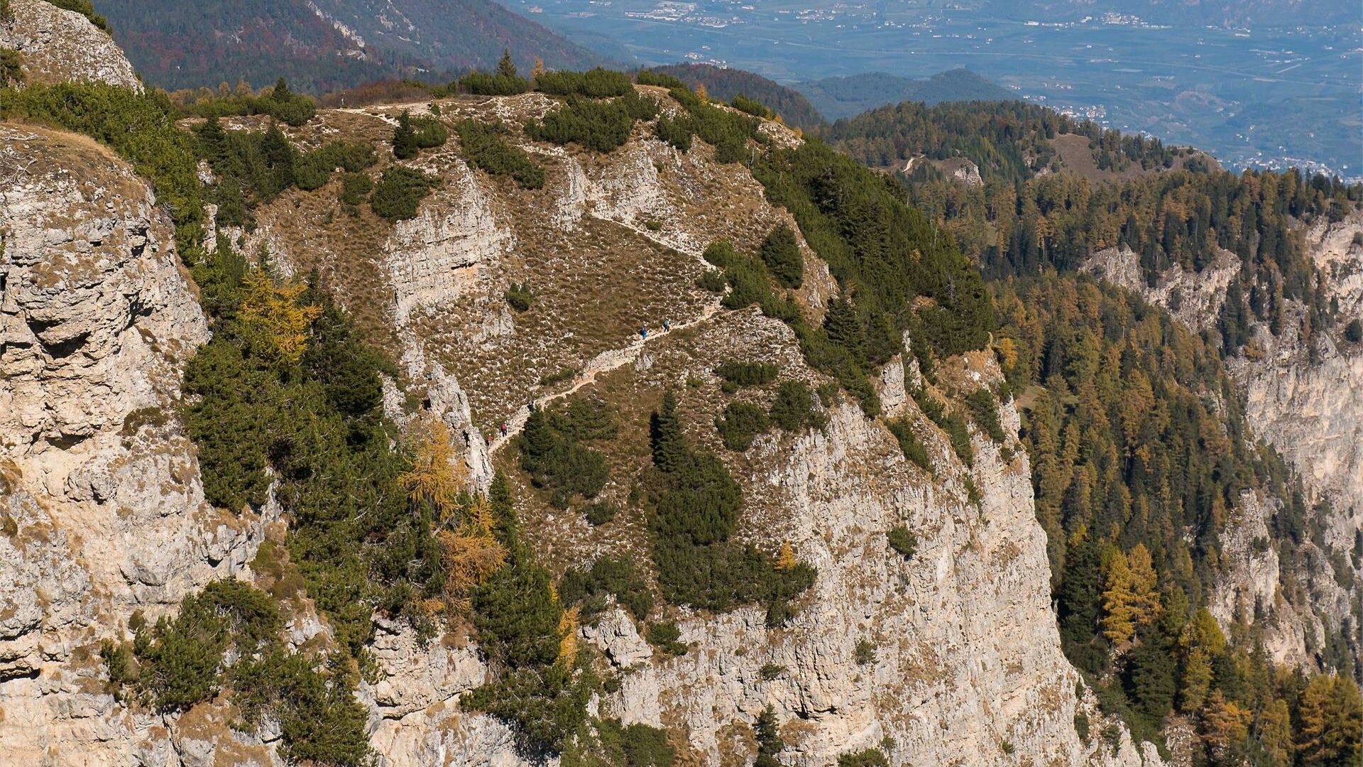 Überetscher Hütte - Roen (Klettersteig) • Climbing in South Tyrol