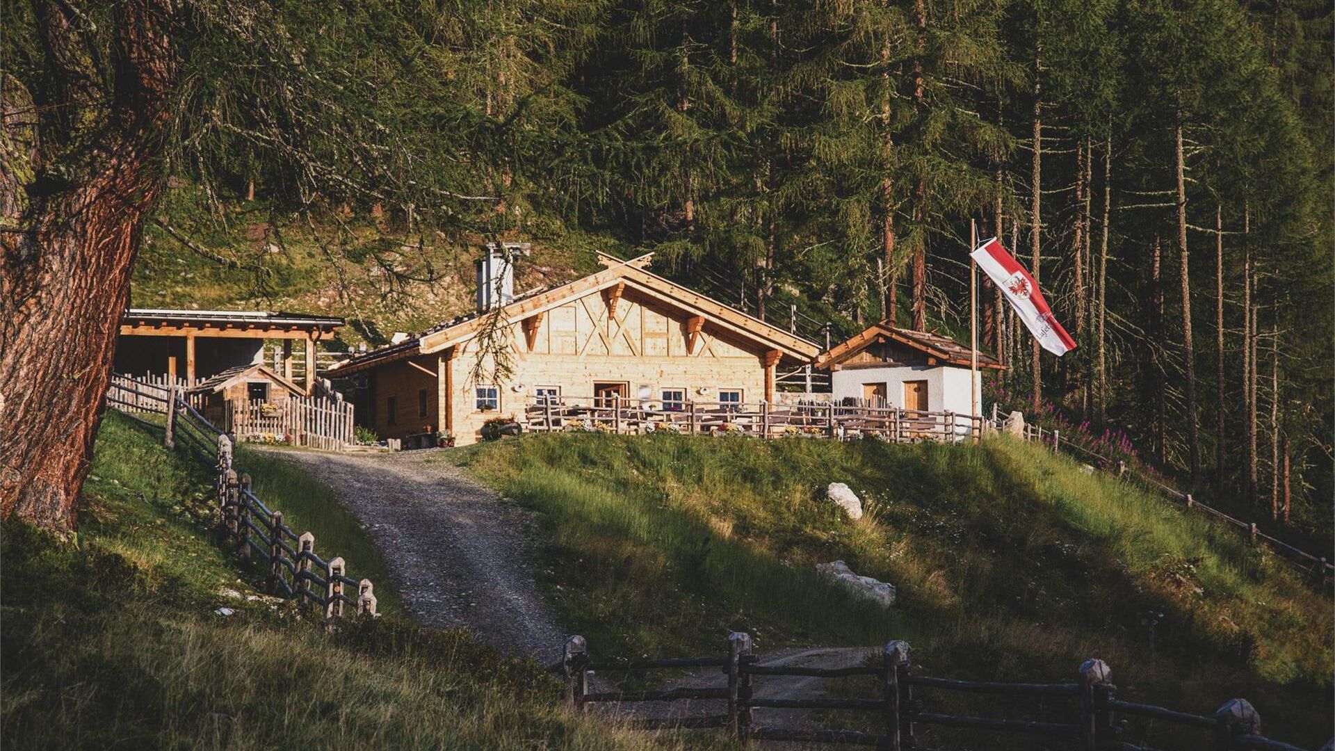 Lafetz Alm • Schnals (Südtirol)