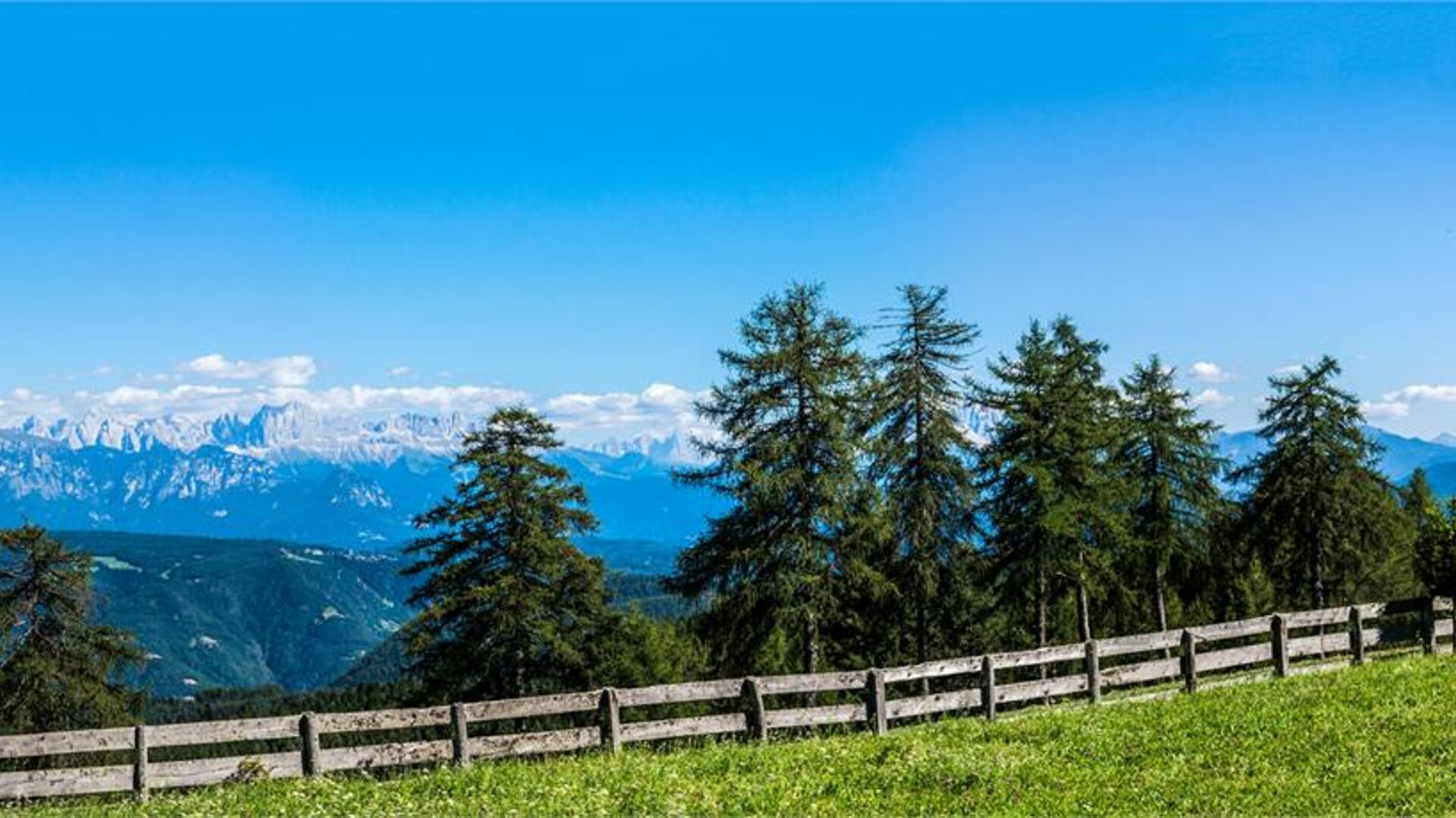 Jenesien - Salten - Langfenn • Südtirol