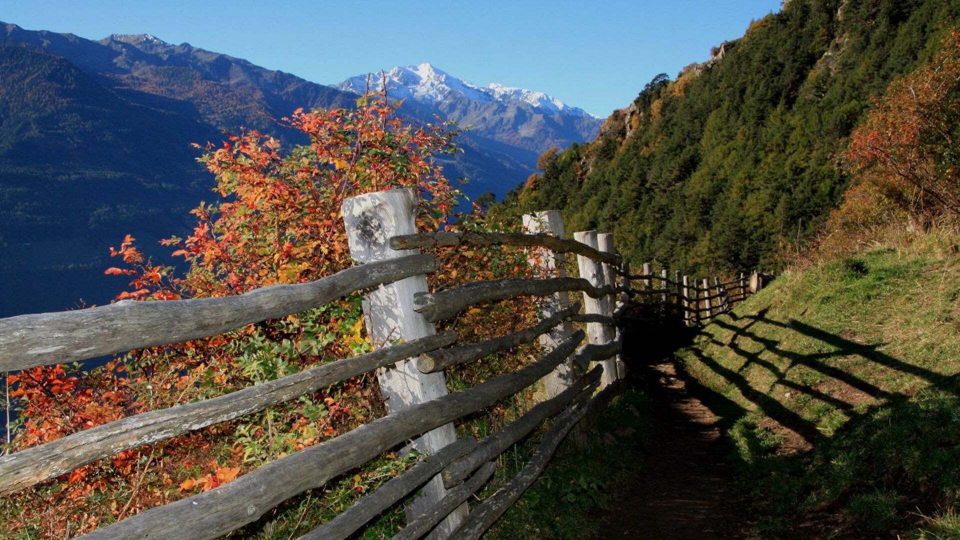 Vom Rablander Waalweg auf den Sonnenberger Panoramaweg nach Naturns ...